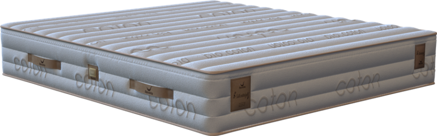 New Form – Revella